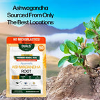 organic chamomile tea for wellness
