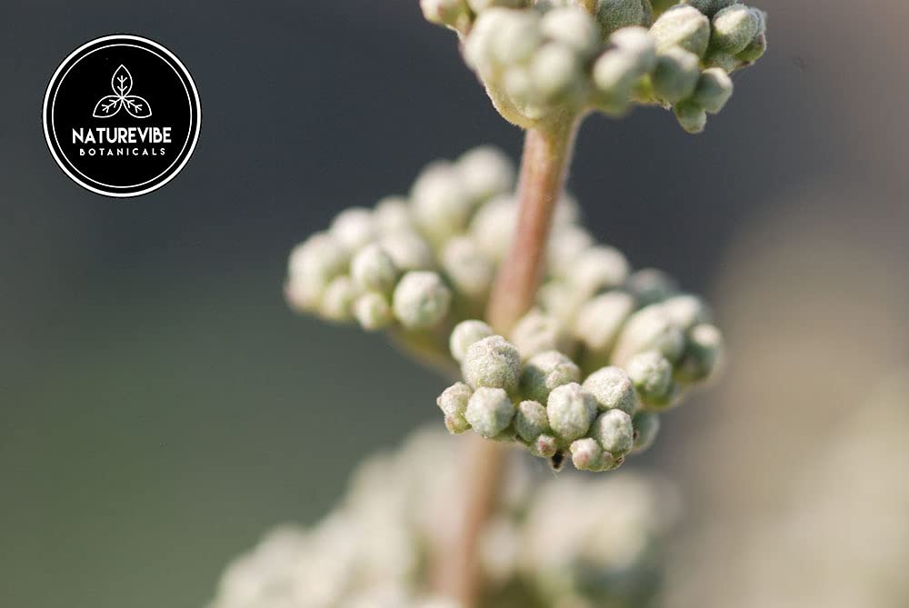 Organic chaste tree for dietary needs