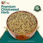organic chickweed herbal infusion