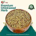 organic chickweed herbal infusion