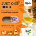 organic chicory root for digestion