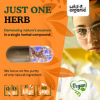 organic chicory root for healthy digestion