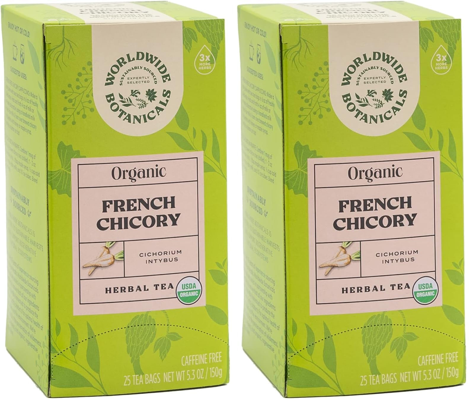 organic chicory root herbal tea bags
