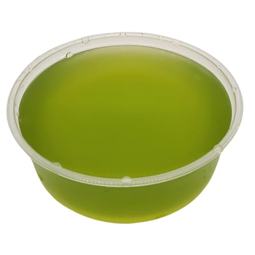 Organic chlorella for educational use