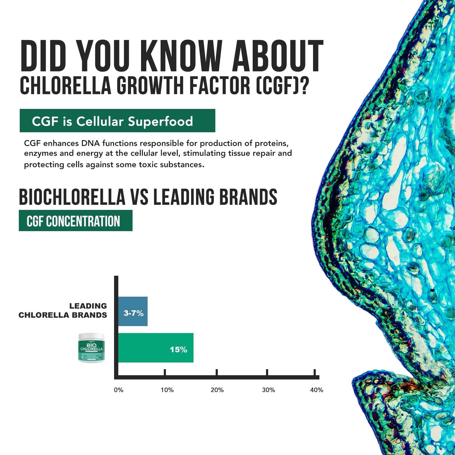 organic chlorella for plant-based nutrition