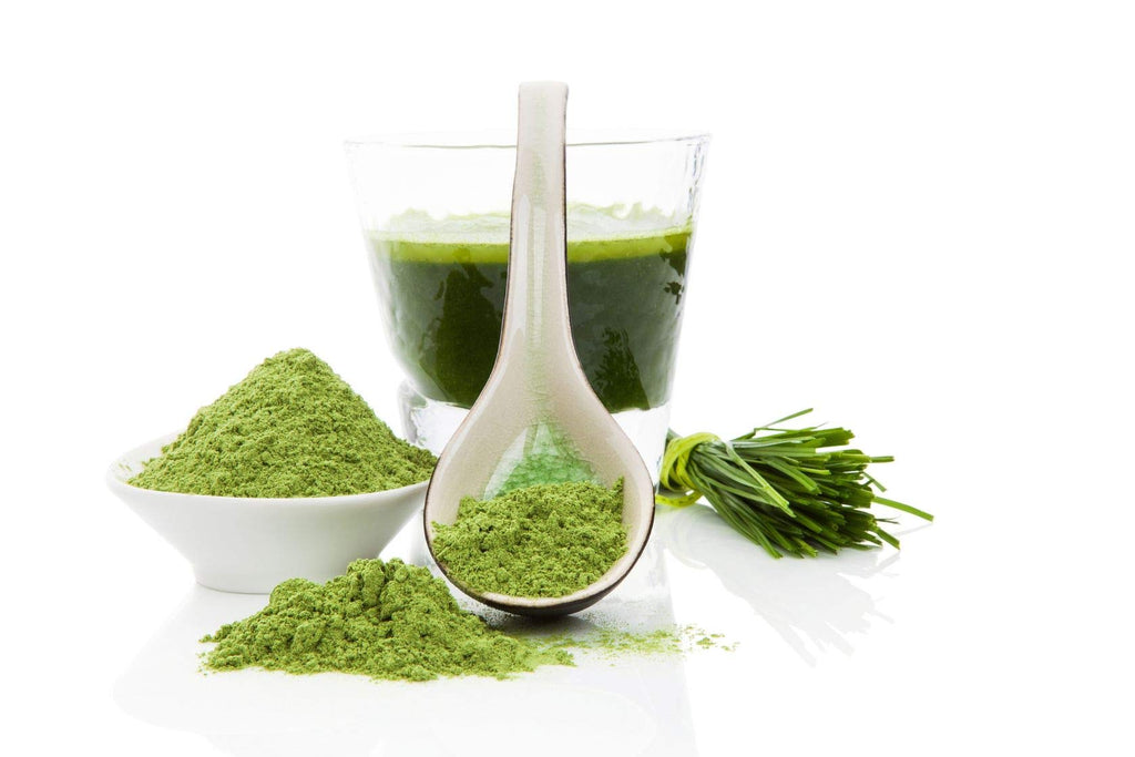 organic chlorophyll for daily wellness