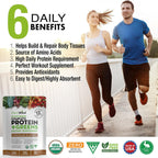 Organic chocolate plant based protein