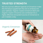 Organic cinnamon capsules for inflammation relief