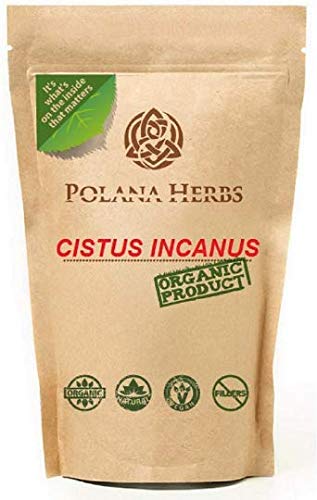 Organic Cistus Incanus herbal tea benefits