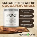 organic cocoa powder rich in antioxidants