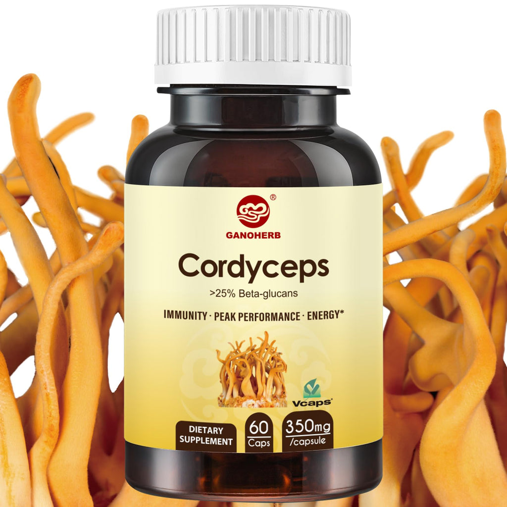 organic cordyceps capsules for energy