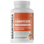 organic cordyceps for energy boost
