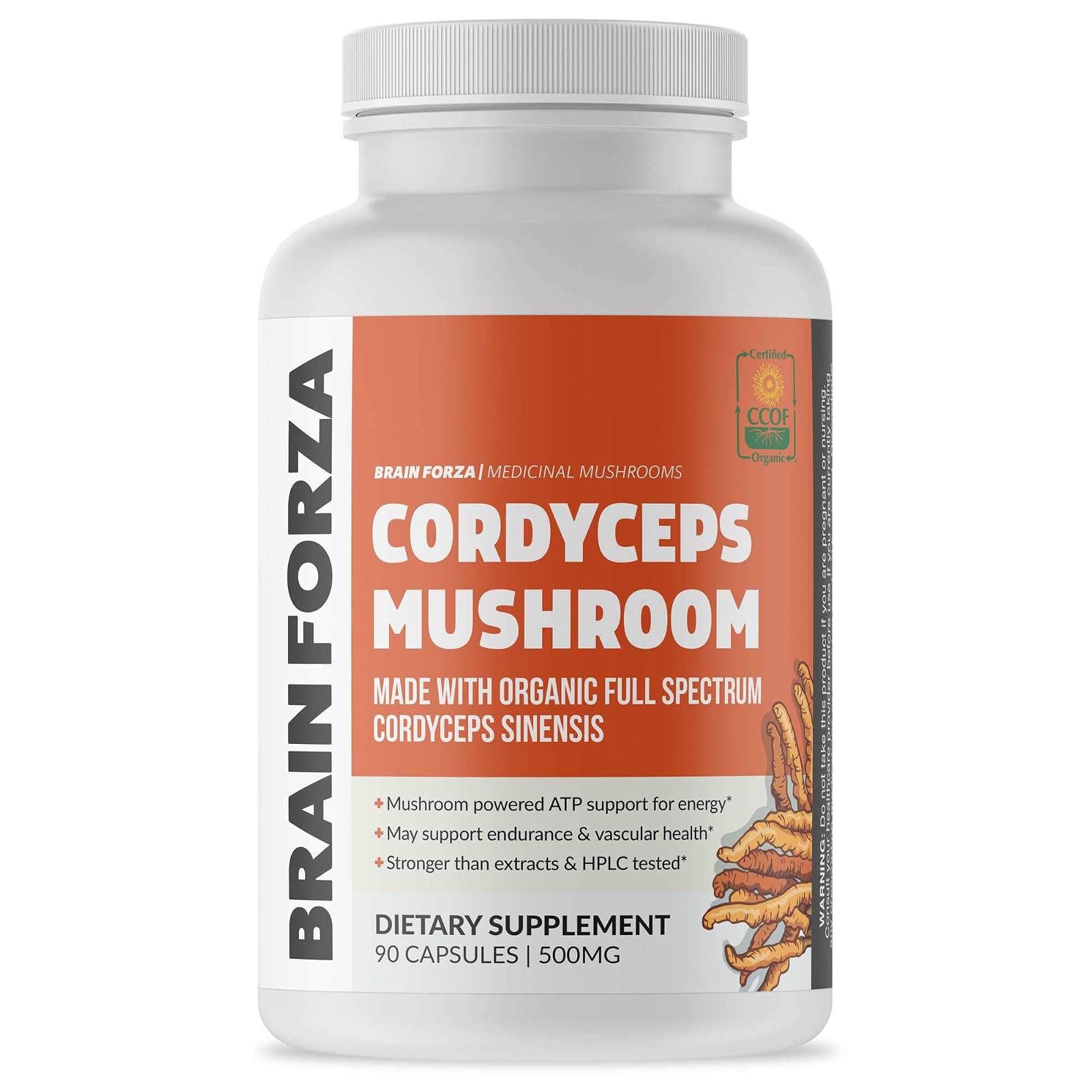 organic cordyceps for energy boost
