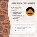 Organic Cordyceps for energy boost