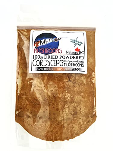 organic cordyceps for energy support