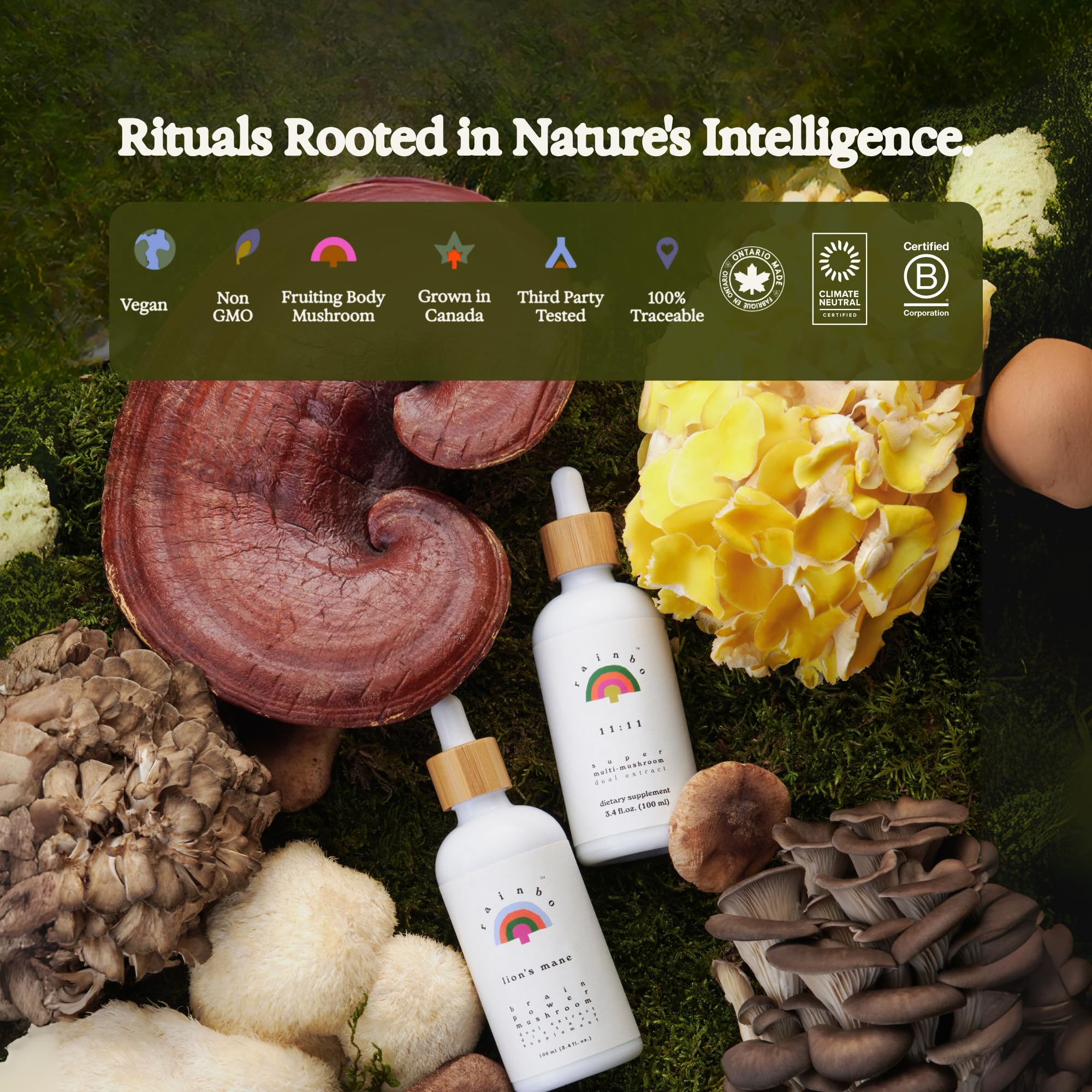 Organic Cordyceps for immune health