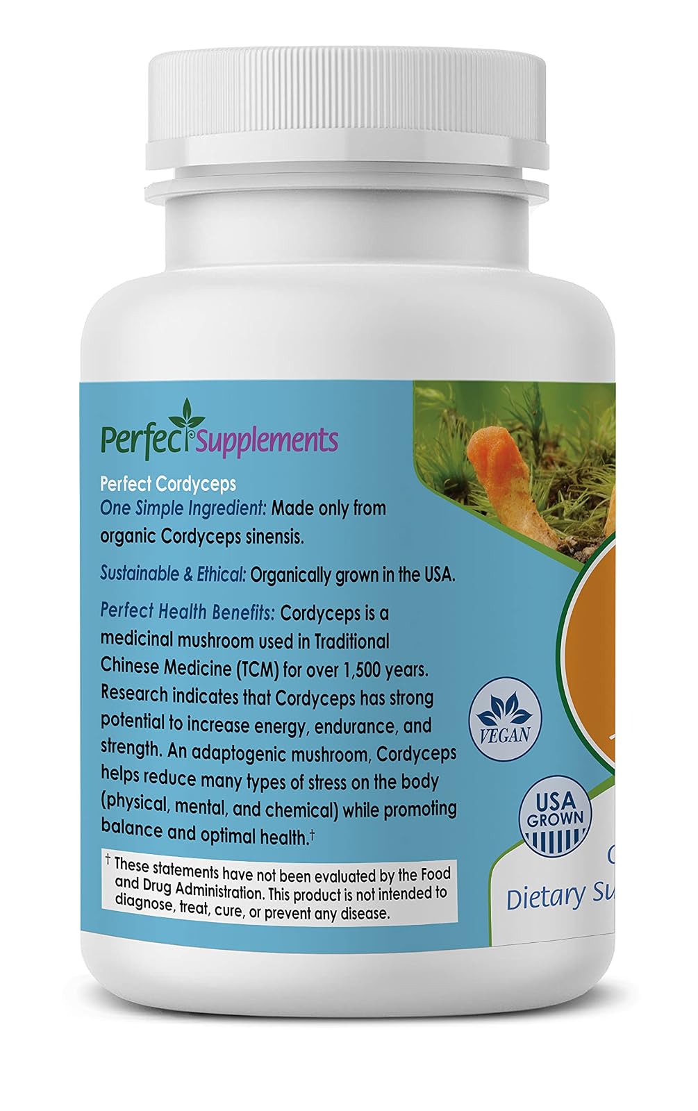 organic cordyceps for immune support