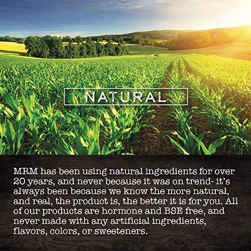 organic cordyceps for overall wellness