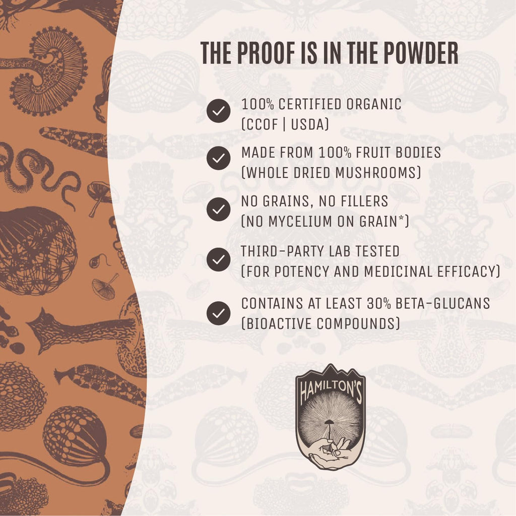 organic cordyceps for stamina