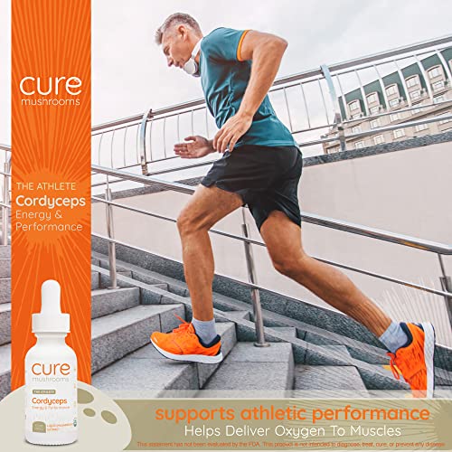 organic cordyceps for vitality support