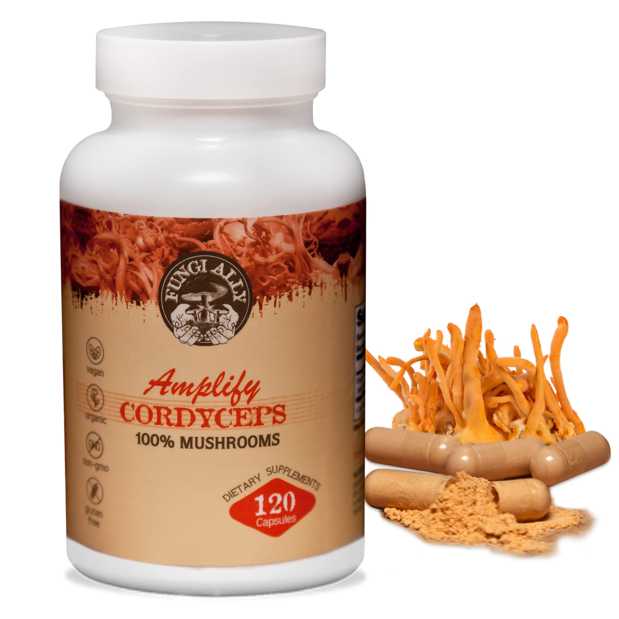 organic cordyceps mushroom capsules for immunity