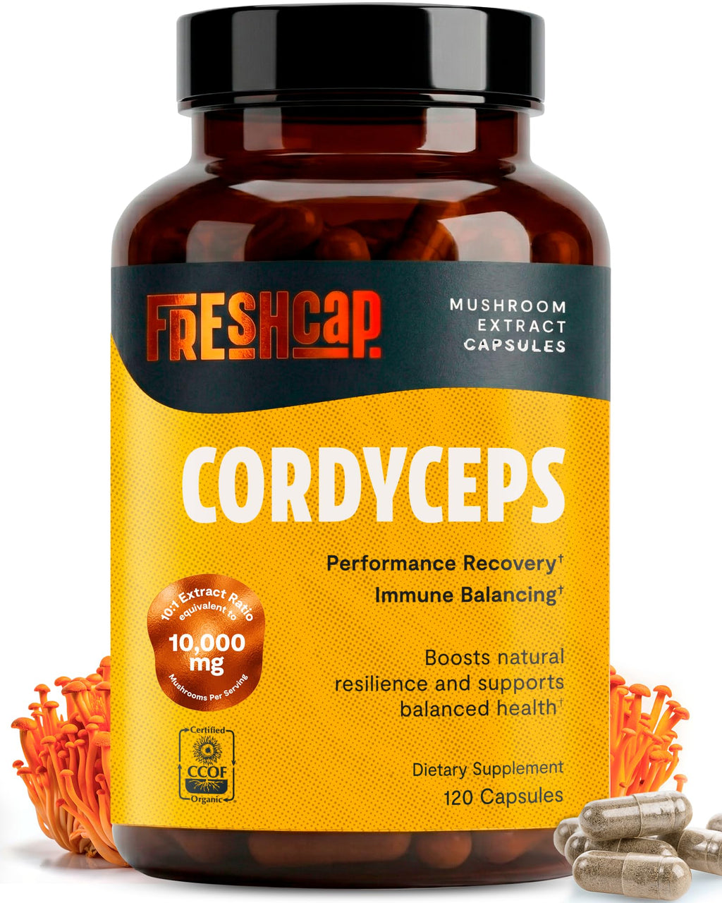 organic cordyceps mushroom capsules