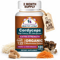 organic cordyceps mushroom capsules