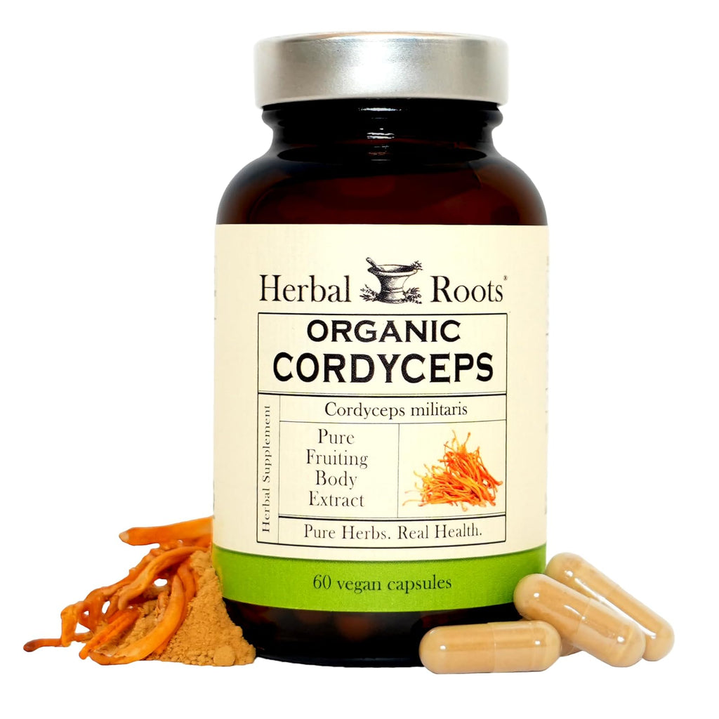 organic cordyceps mushroom capsules