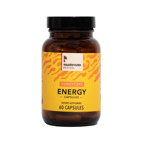 Organic cordyceps mushroom energy boost