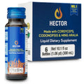 organic cordyceps mushroom energy drink