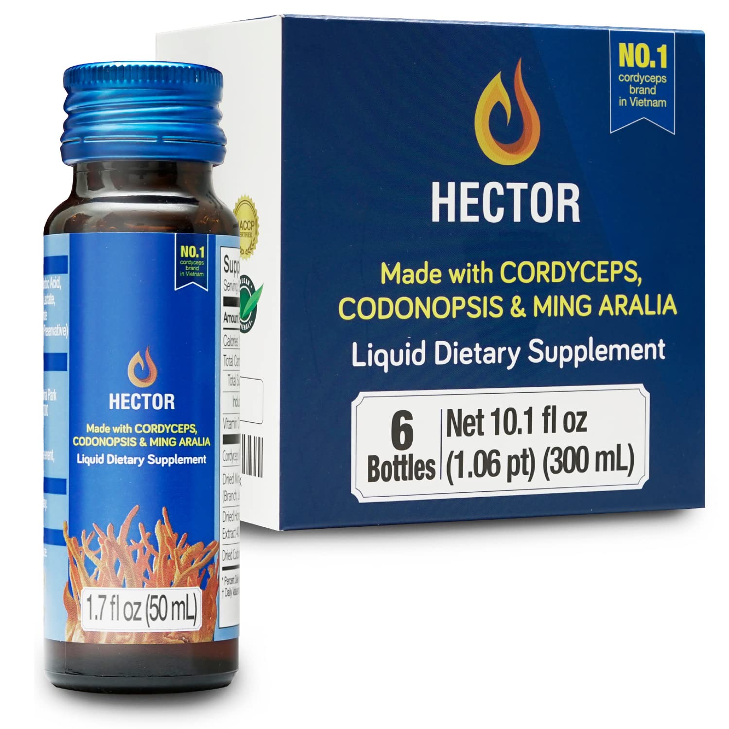 organic cordyceps mushroom energy drink