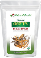 organic cordyceps mushroom extract benefits