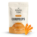 organic cordyceps mushroom powder for energy
