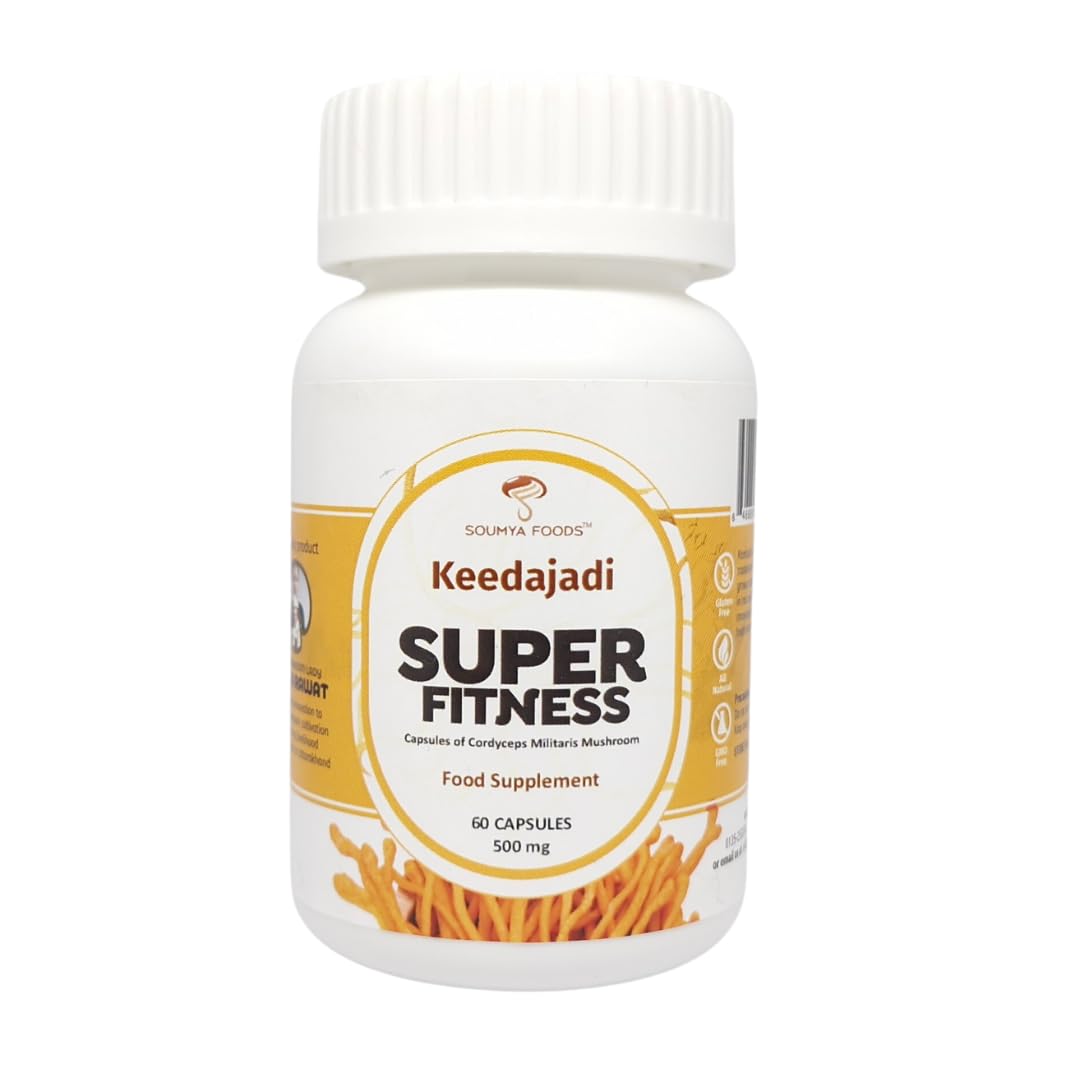 organic cordyceps mushrooms for energy
