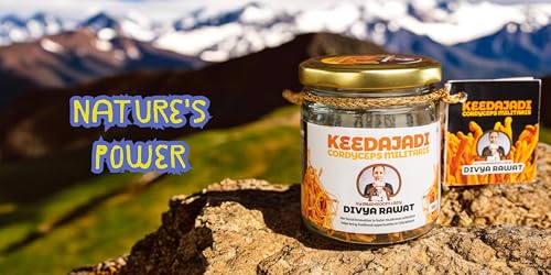 organic cordyceps mushrooms for vitality