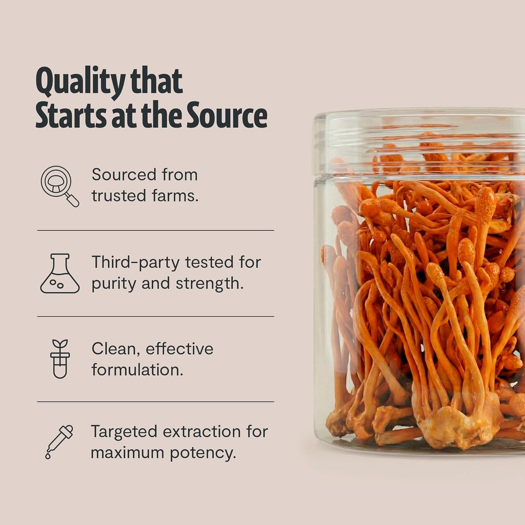 organic cordyceps powder for vitality