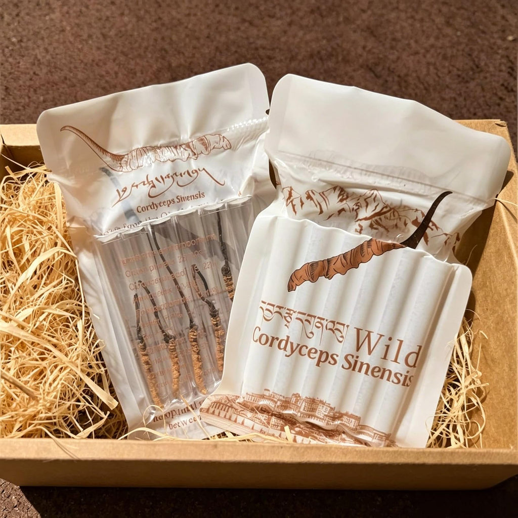 Organic Cordyceps Sinensis for immunity support
