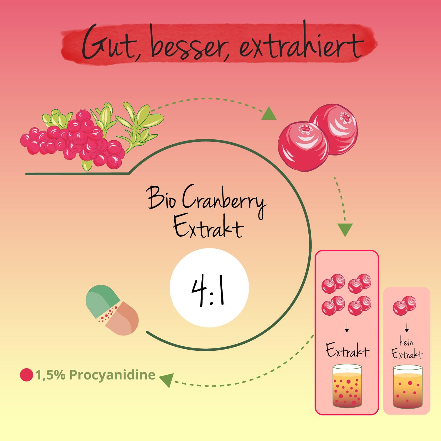 organic cranberry extract for detox
