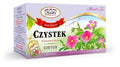 Organic Czystek herbal tea benefits