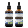 organic dandelion leaf extract benefits