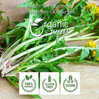 Organic dandelion leaf powder for wellness