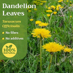 organic dandelion leaf tea benefits