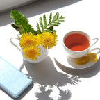 Organic dandelion leaves for detox