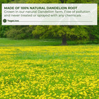 organic dandelion powder for wellness