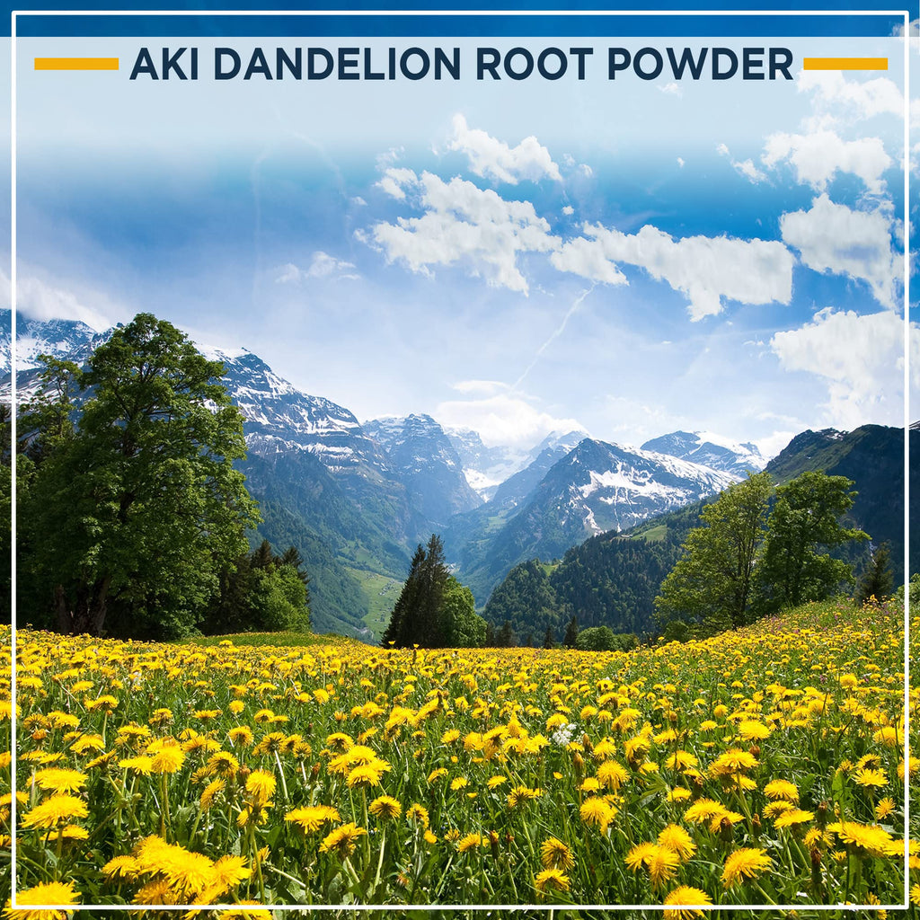 Organic dandelion root powder benefits