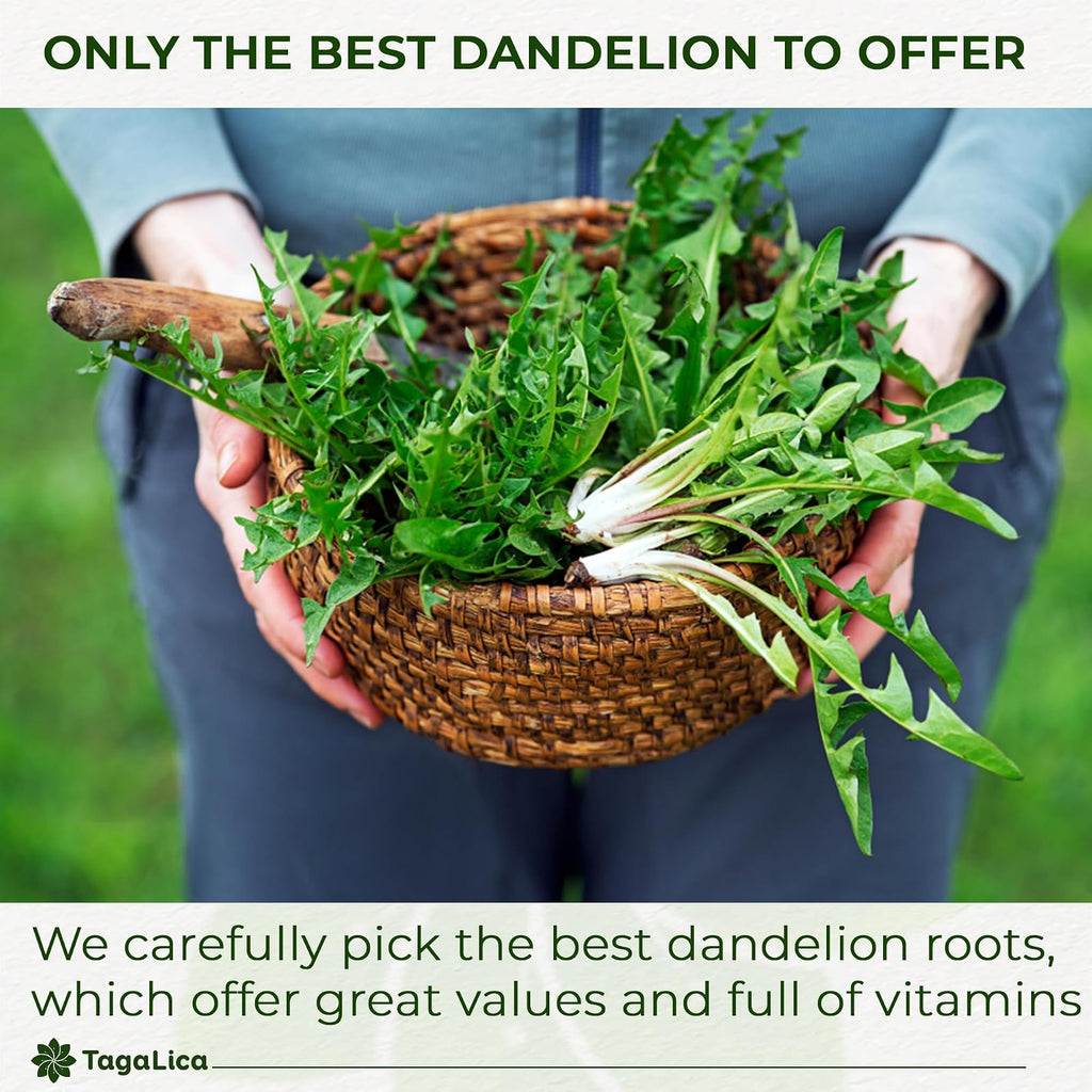 Organic dandelion root powder for digestion