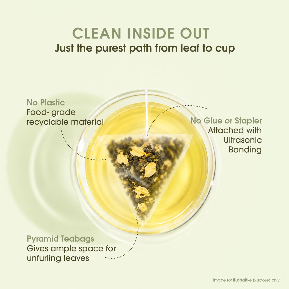 organic darjeeling green tea blend