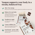 organic dark roast Yaupon tea