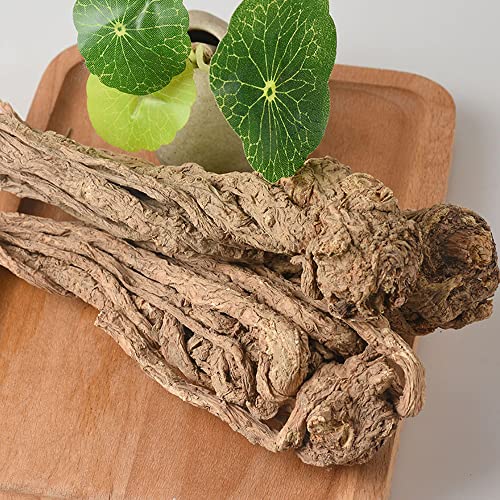 organic dong quai supplement benefits