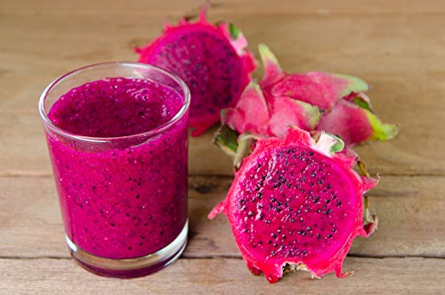organic dragon fruit powder supplement